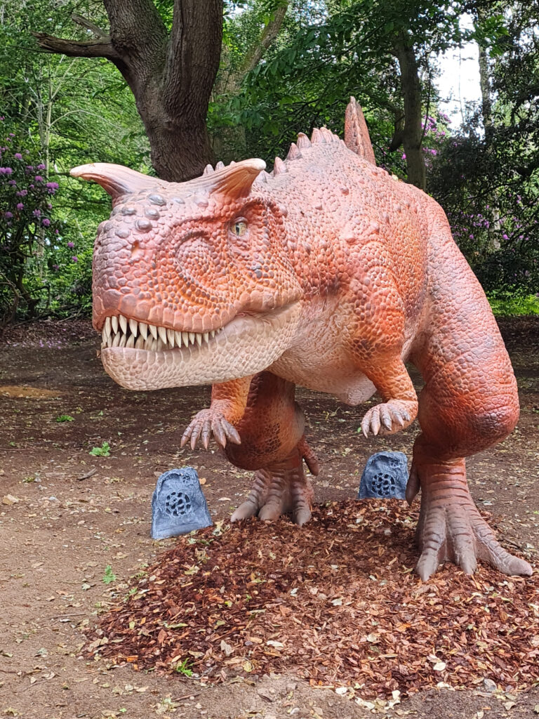 ROARR! unveils new attraction - Global Amusements & Play