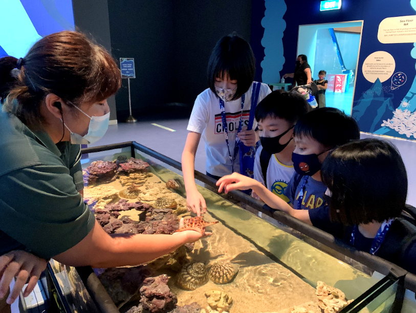 S.E.A. Aquarium opens new expanded, immersive zone - Global Amusements ...